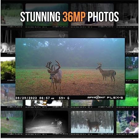 SPYPOINT Flex-S Solar Cellular Hunting Trail Camera (2pk), Integrated Solar Panel, On-Demand Capable, LTE Connectivity, 100-foot Flash/Detection Range, Internal Battery + Two SD Cards