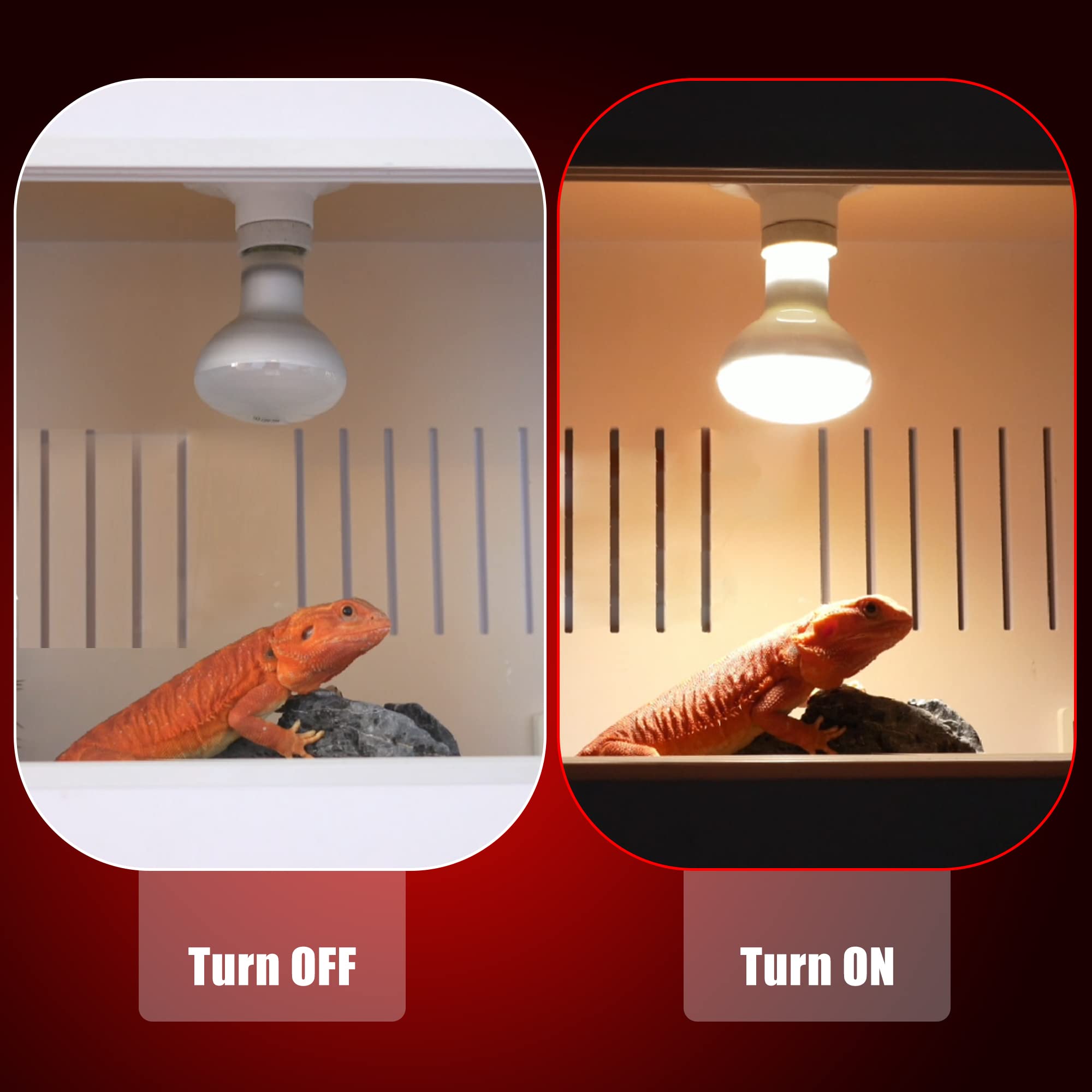 Makmzoon 2 Pack 100W Reptile Heat Lamp Bulb UVA Basking Spot Heat Lamp Reptile light tortoise light turtle Bulb for Animals Bearded Dragon