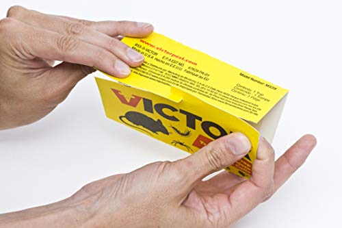 Victor M320 Professional Glue Boards for Insect and Rodent monitoring - 150 Glue Boards