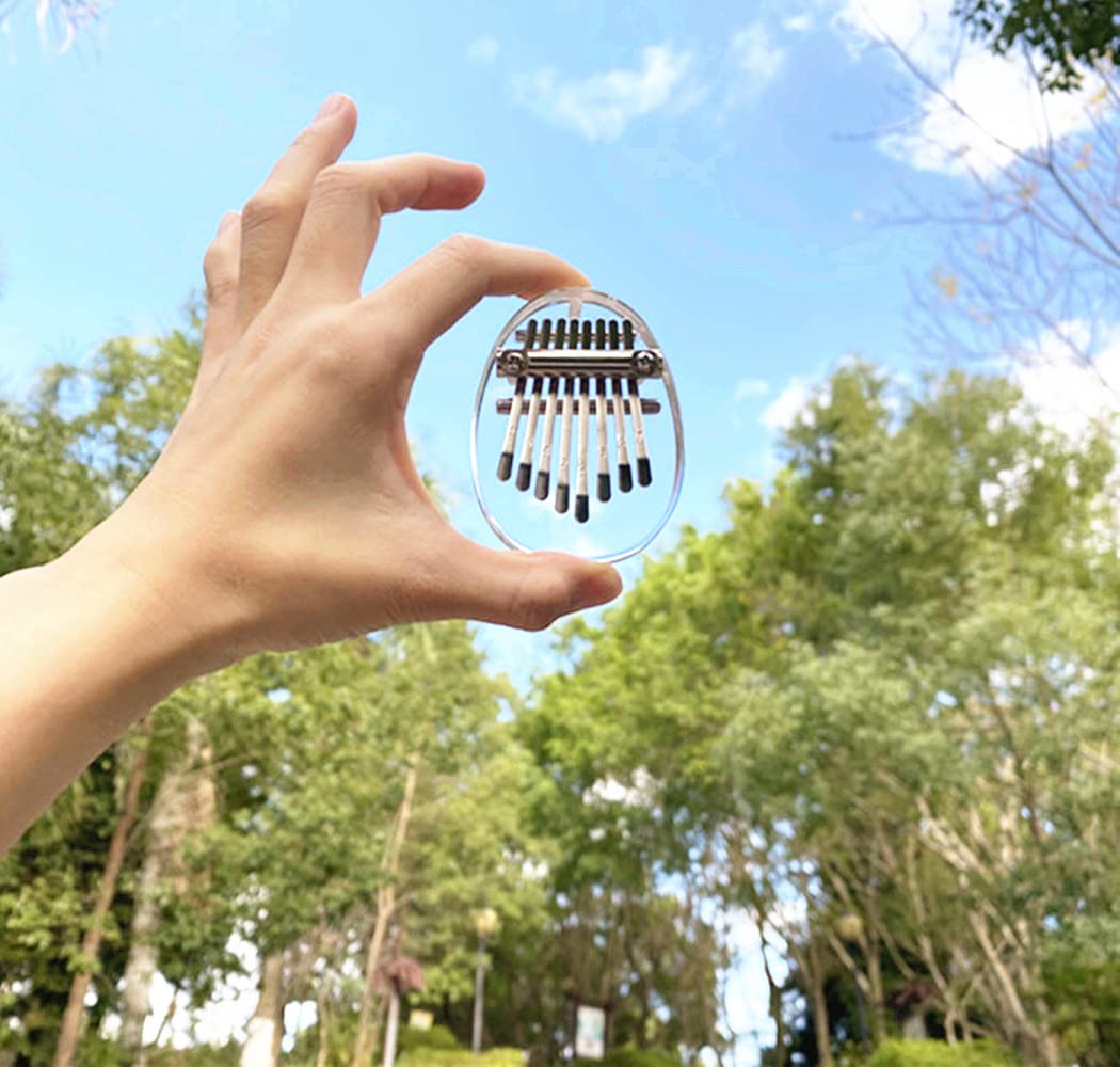 SLDHR Mini 8 Keys Kalimba Thumb Piano, Portable Marimba Music Thumb Piano Pendant with Lanyard, A Unique Gift for Children, Adults and Beginners (Oval) B12-1