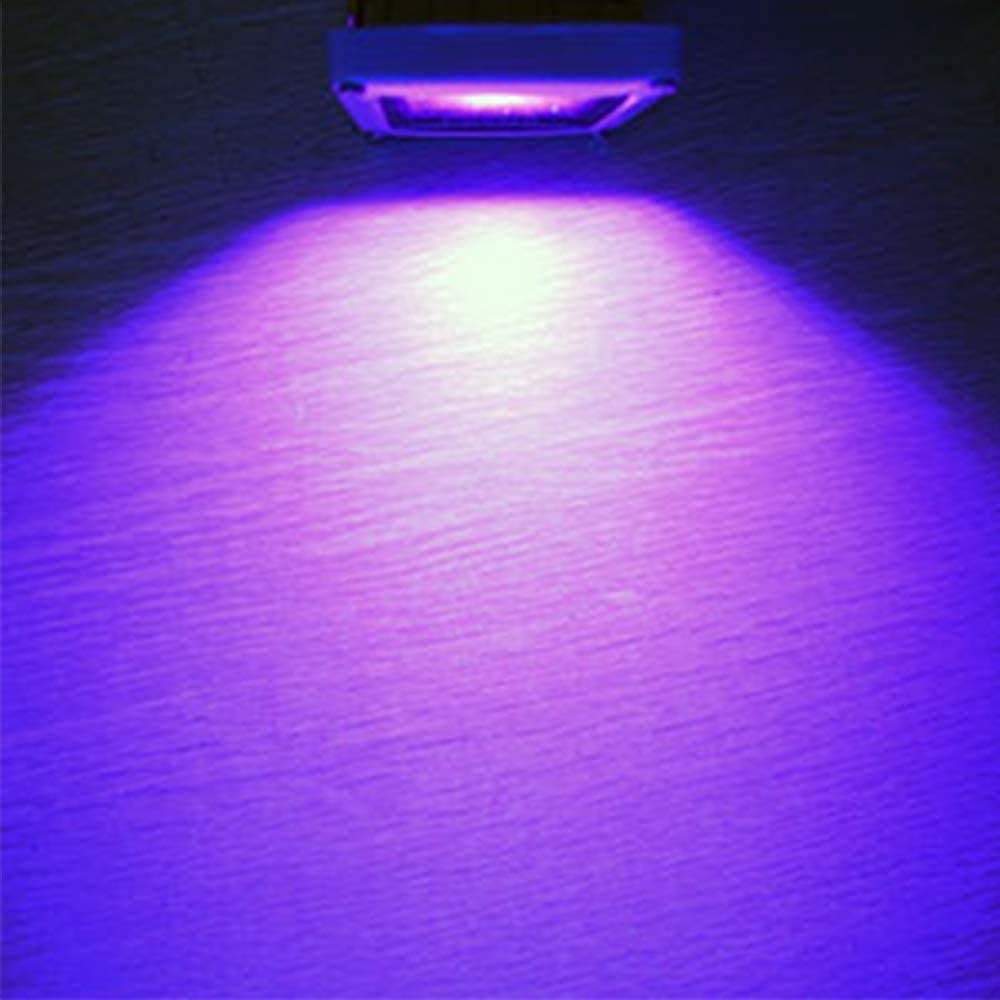 Lysed 30W Black Light, Black Lights for Glow Party, Blacklight Party Glow in The Dark, LED Black Lights Halloween Decorations, IP66 Waterproof (2 Pack)