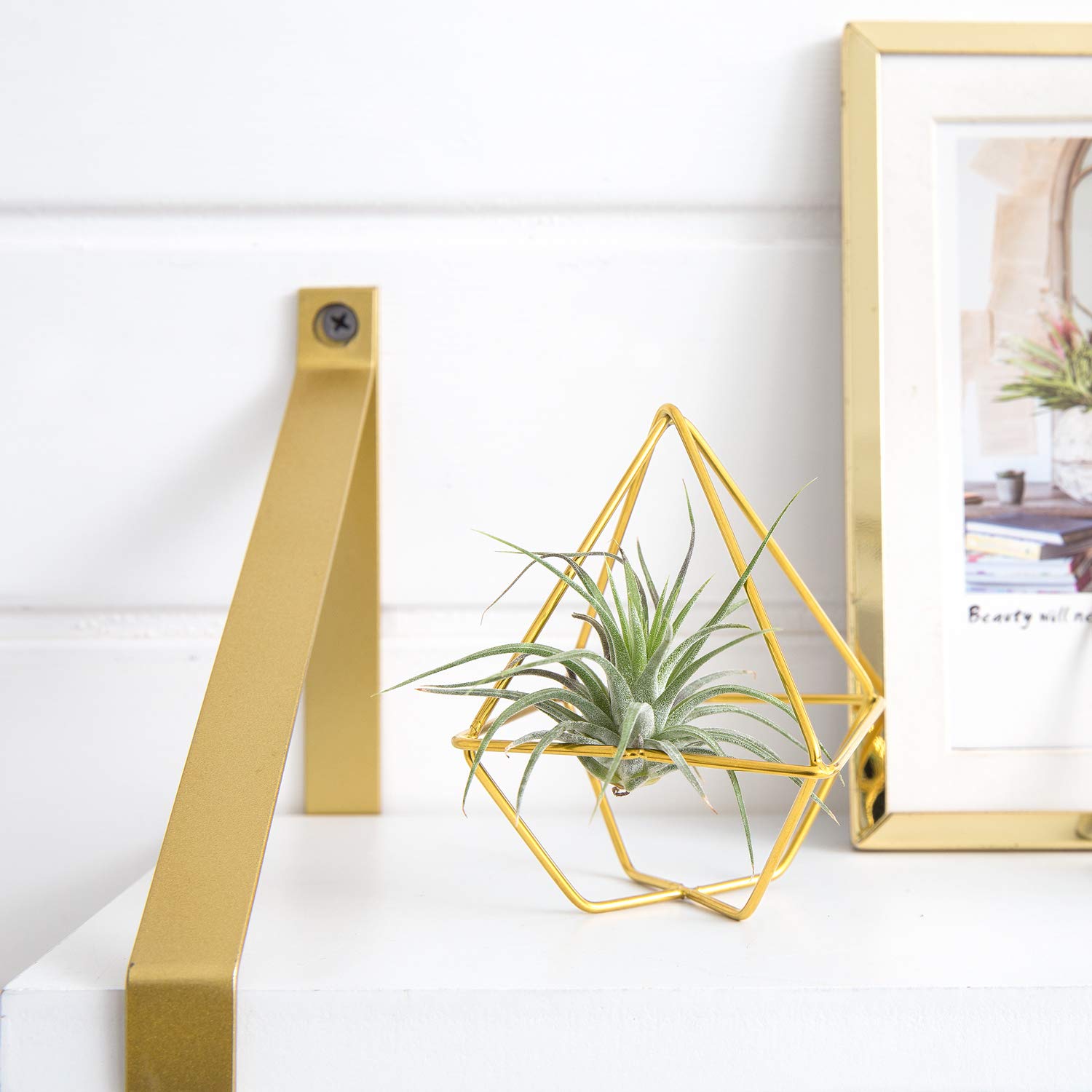Mkono 5 Pack Air Plant Holder Metal Himmeli Decor in 2 Shapes, Gold