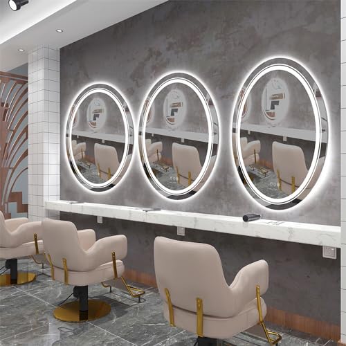 Oval LED Bathroom Mirror Antifog Wall Vanity Illuminated Mirror Dimmable Touch (24'' x 32'')