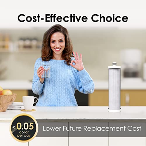 Waterdrop WF08 Under Sink Replacement Water Filter, Replacement for Waterdrop AS08, BS08, AMS08, 8000 Gallons Capacity,USA Tech