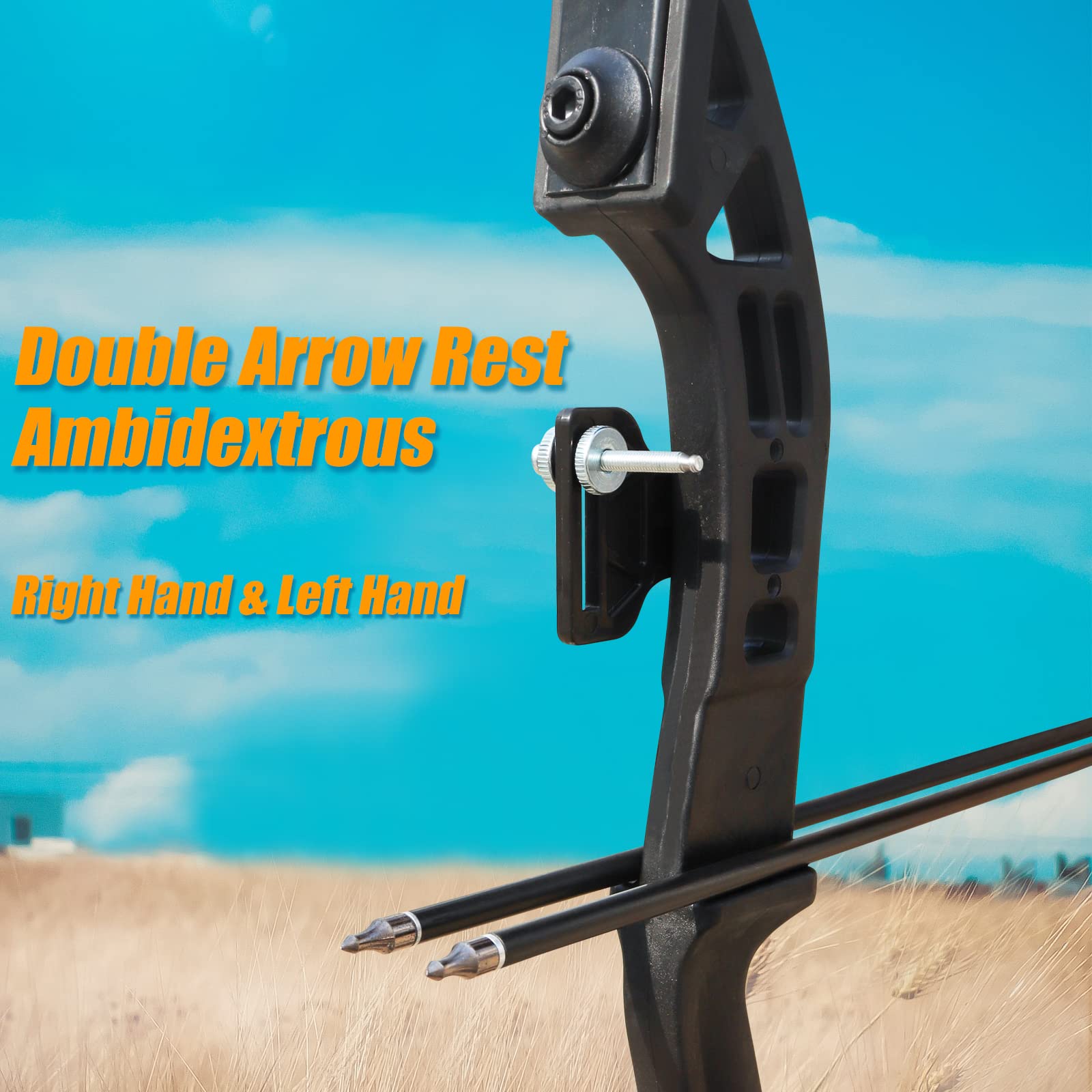 Takedown Bow, Archery Set for Right Left Hand, Long Bow for Beginner Adult, Recurve Bow and Arrows for Shooting Hunting Practice Training Backyard Target (30lb)