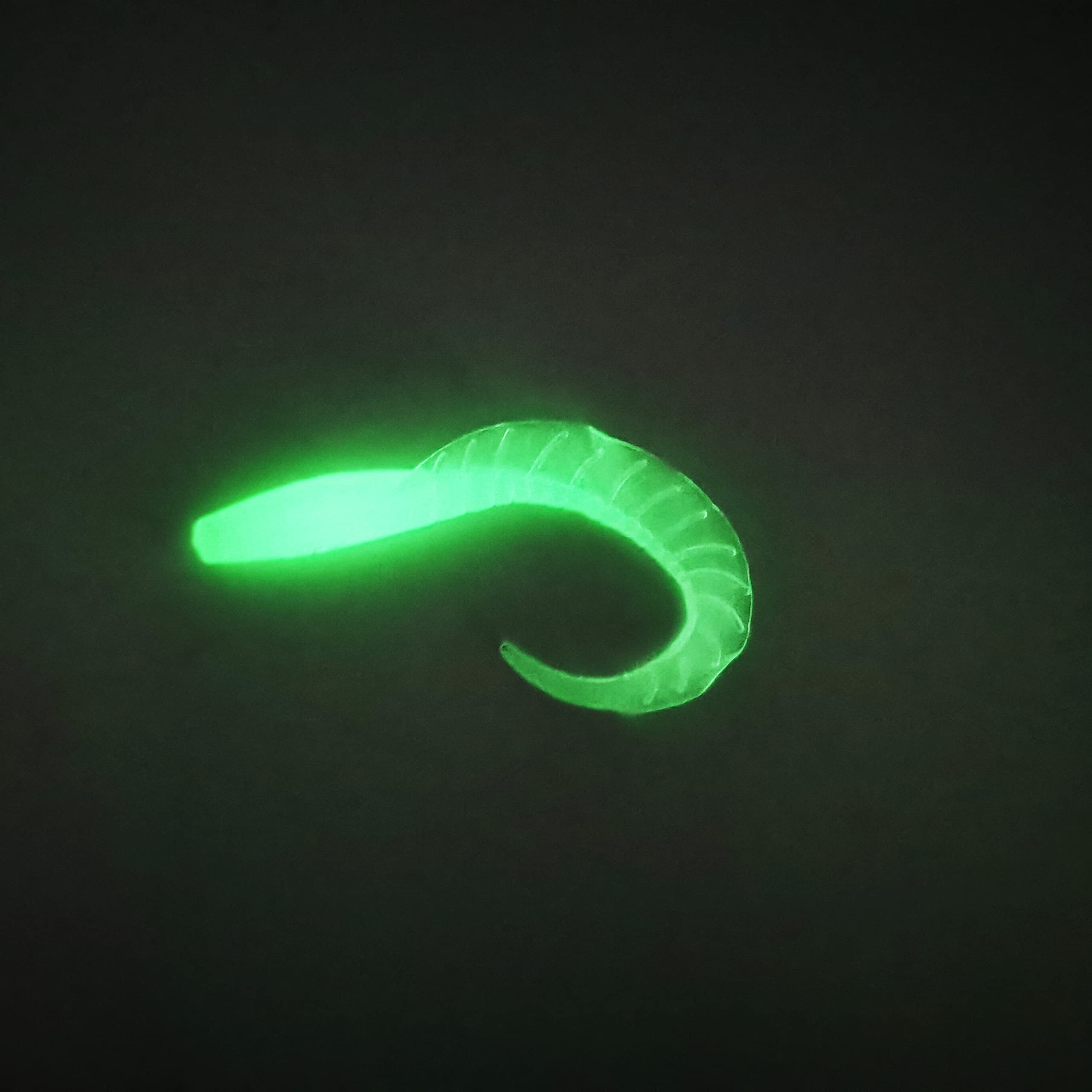 PINGJIA LYJE28, 7.5cm/2.95in, Grubs Fishing Lure, Soft Baits, Glow-in-The-Dark T-Tail, Grub Lure(Luminous Green)