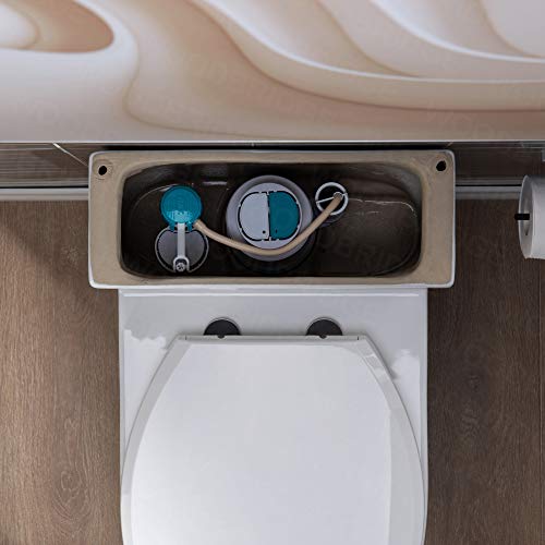 WOODBRIDGE Short Compact Tiny Dual Flush 1.28 GP One Piece Toilet,with Soft Closing Seat,1000 Gram MaP Flushing Score Small Toilet with Brushed Nickel Button B0500-BN, White