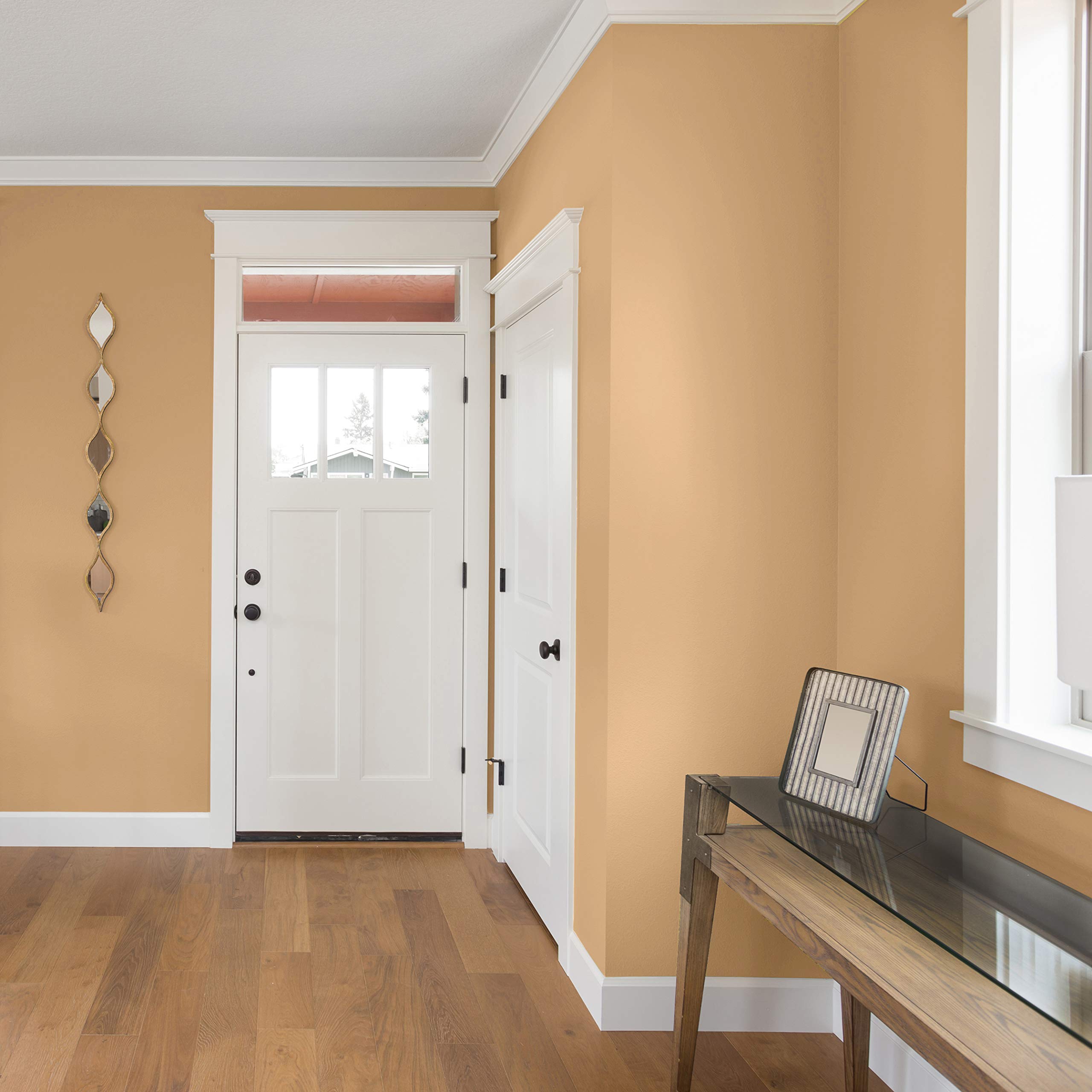 Montage Signature Interior/Exterior Eco-Friendly Paint, Dove Gray, Low Sheen, 5 Gallon