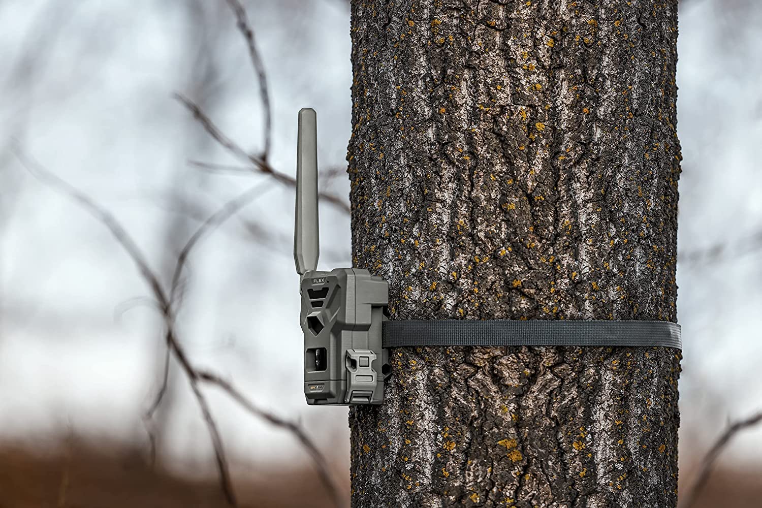 SPYPOINT Flex Dual-Sim Cellular Trail Camera 33MP Photos 1080p Videos with Sound and On-Demand Photo/Video Requests - GPS Enabled with Lexar 32GB Micro SD Card (1 Pack)