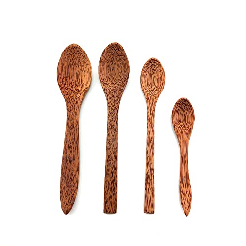 MABSSI Wooden Cutlery Natural Wooden Coconut Spoon, Coconut Shell Bowl Spoon Set