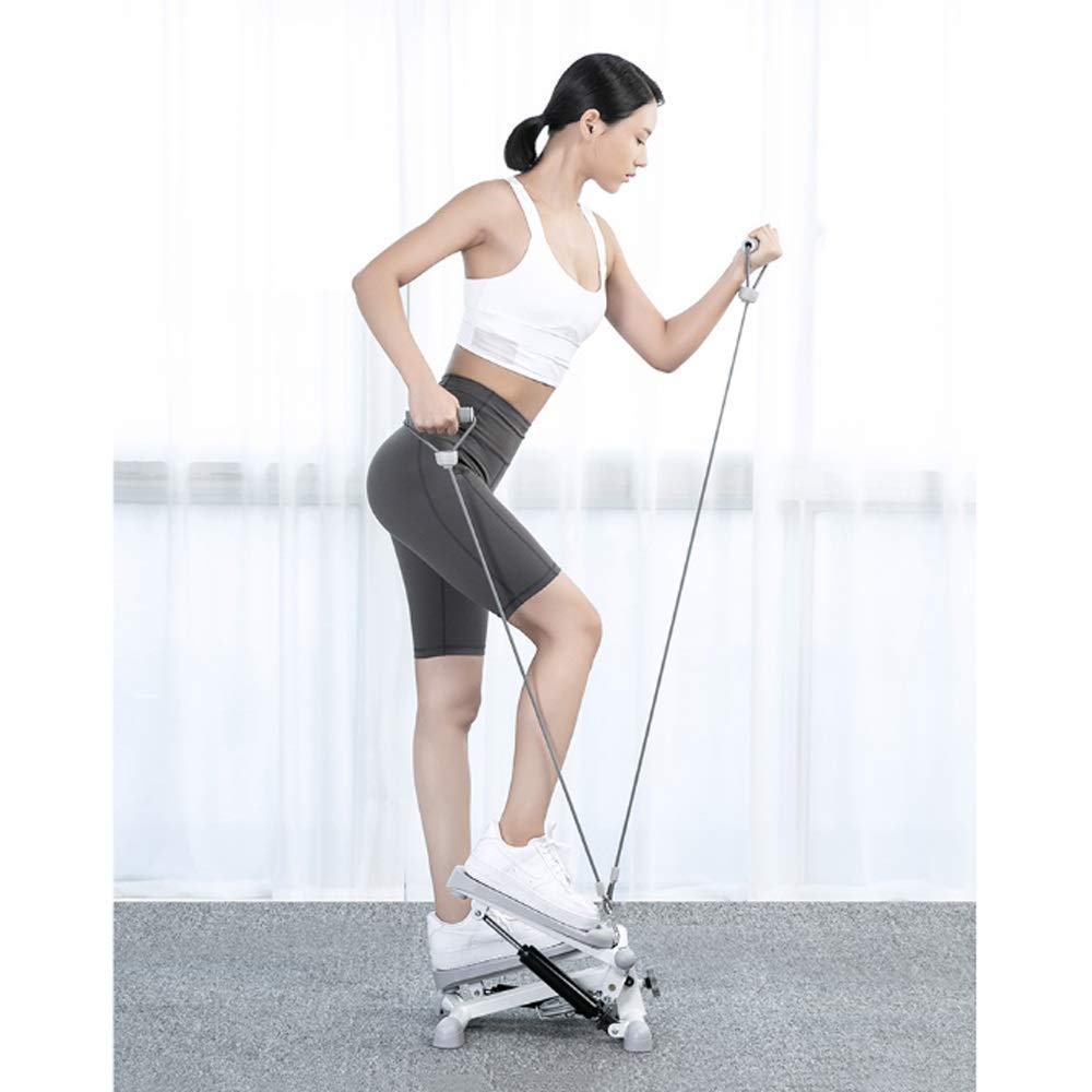 YFDM Mini Stepper Stair Stepper Exercise Equipment with Resistance Bands and Twisting Action