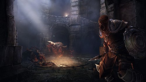 Lords of the Fallen (Limited Edition)