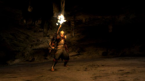 Monster Hunter Tri - Standard