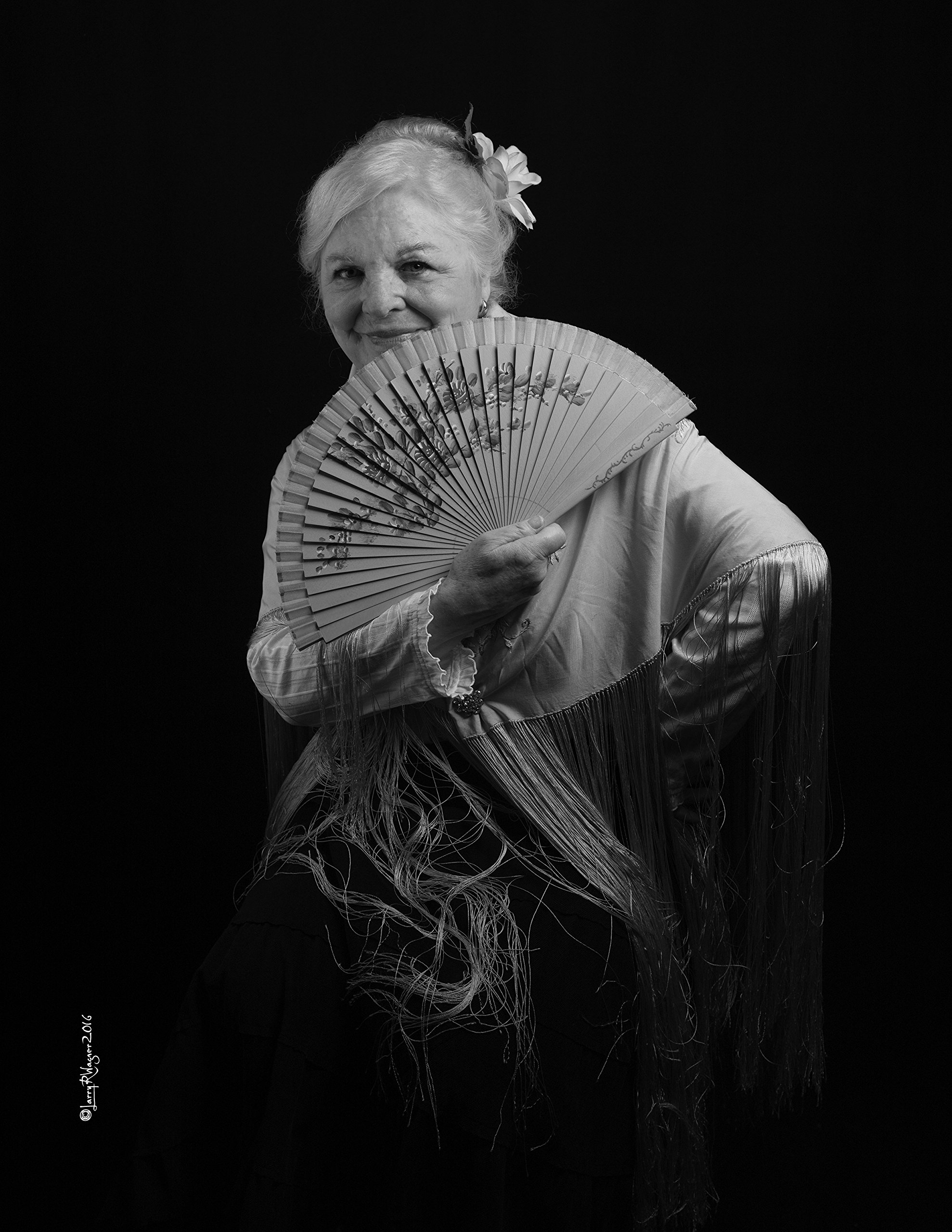 Mendocino Coast Artists