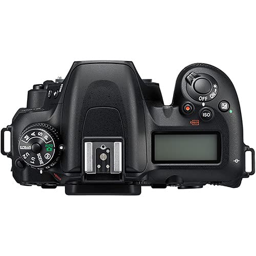 Nikon D7500 20.9MP DSLR Digital Camera with 18-55mm and 70-300mm Lenses (13543) Deluxe Bundle -Includes- Sandisk 64GB SD Card + Large Camera Bag + Filter Kit + Spare Battery + Telephoto Lens