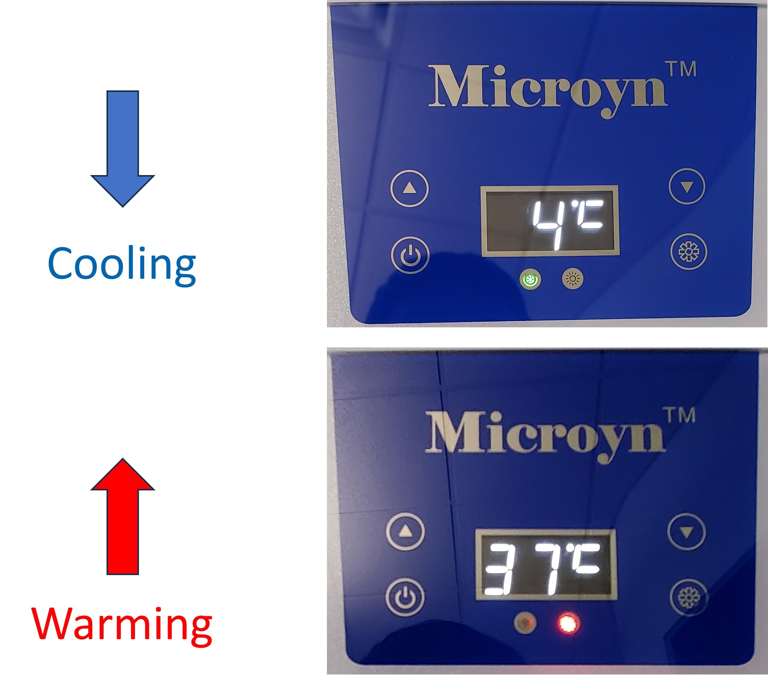 Microyn Mini Fridge, Portable Refrigerator, Cooler, Warmer with Glass Front and Digital Temperature Control, 110V AC and 12V DC Car Plugs (20L)