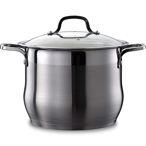 Stainless Steel Stockpot 9.1Qt Mirror Polished Soup Pot with Glass Lid,Pasta Pot with Interior Measurement Markings,Cooking Pots Compatible with All Heat Sources,Easy Clean & Dishwasher Safe