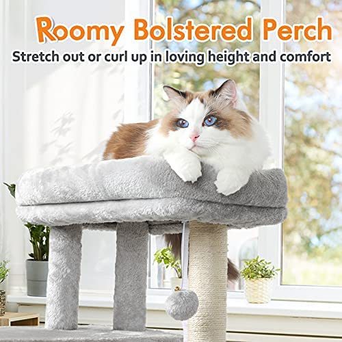rabbitgoo Cat Tree Cat Tower with Adjustable Base, Small Cat Tree for Indoor Cats, Multi-Level Cat Condo with Scratching Posts & Large Perch, Cat Climber Stand for Small Kittens, 38" Tall (Grey)