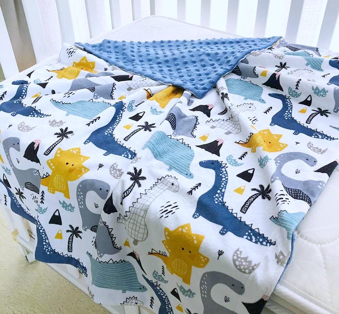 NS Brook Baby Blanket 30 X 40 Inches, Unique Design and Super Soft Minky with Double Layer Dotted Backing for Newborn and Toddler, Best for Boy
