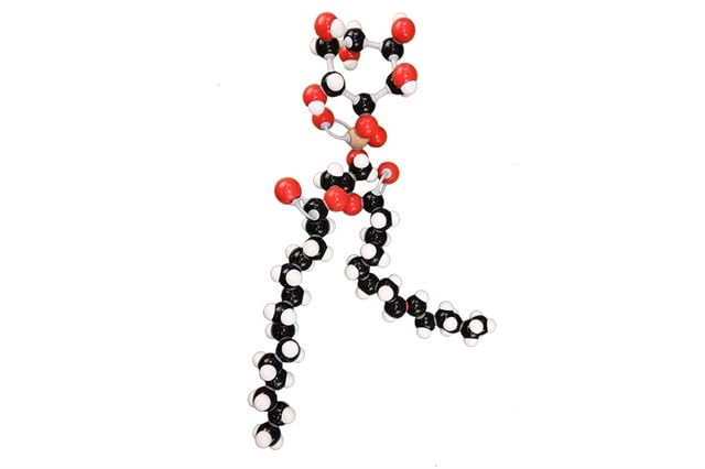 Phospholipid Modeling Set (Phosphatidylinositol Model)