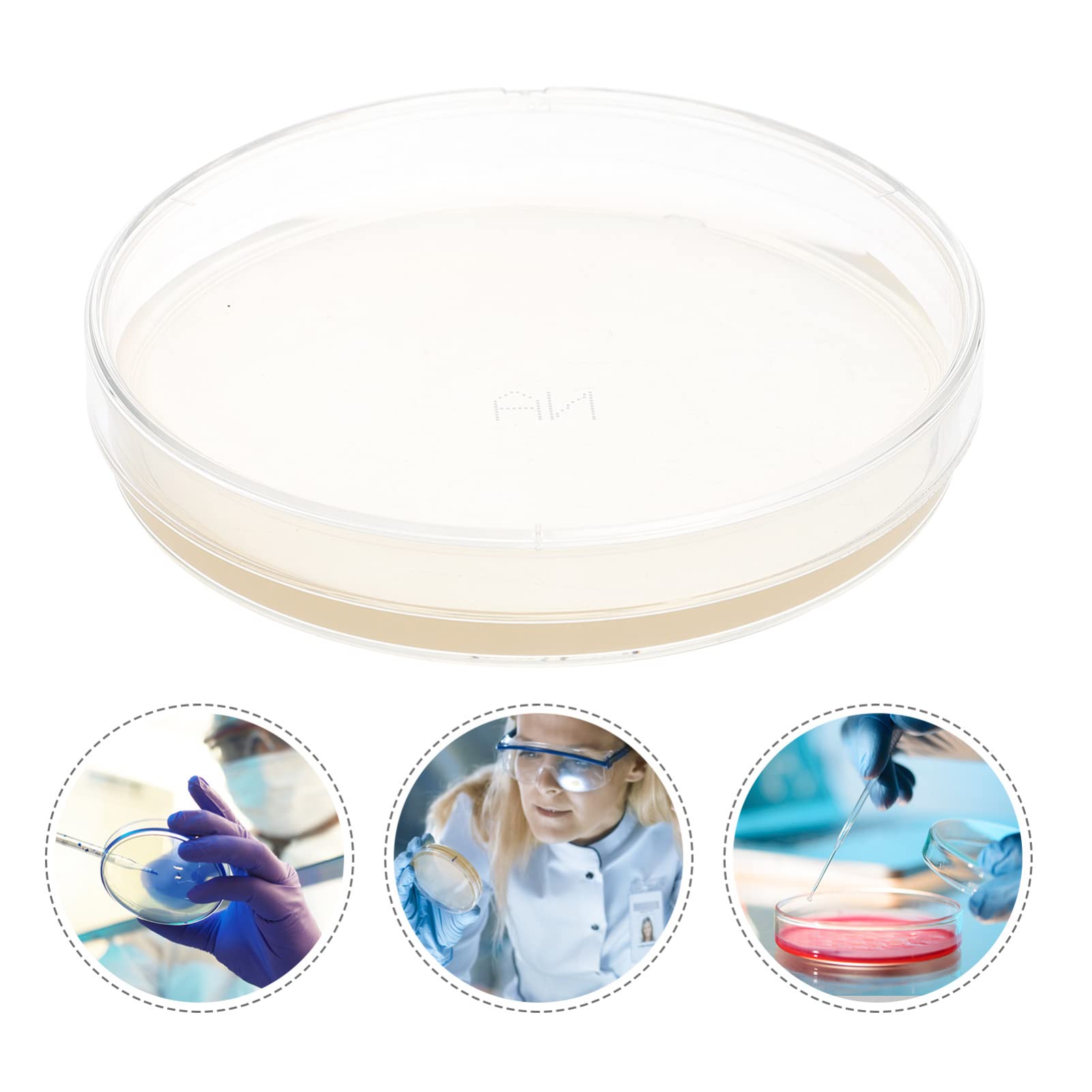 UKCOCO Agar Plates- Petri Dishes for Mushrooms, Molds, Pre- Poured Agar Plates for School Science Projects Seeding Biological Laboratory Equipment Educational Science Fair Project Kit 10pcs 90 x 90 mm