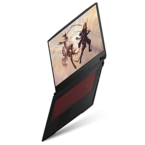 MSI GE68HX Raider 16" IPS FHD+ 144Hz Gaming Laptop Computer, 13th Gen Intel Core i9-13950HX, NVIDIA GeForce RTX 4060, 32GB DDR5 5600MHz RAM, 2TB NVMe SSD, RGB Backlite, Thunderbolt 4, Windows 11 Pro