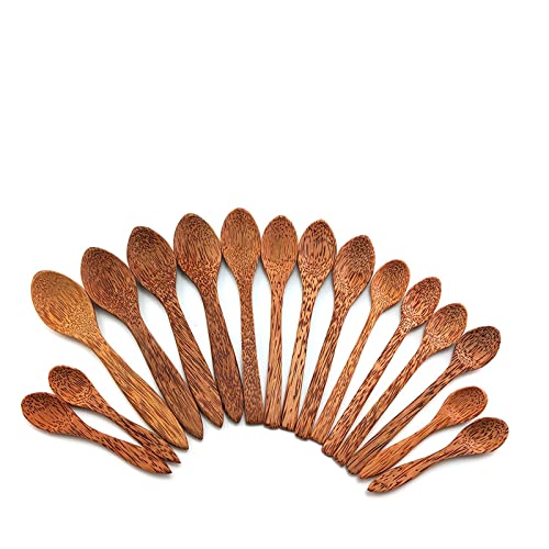 MABSSI Wooden Cutlery Natural Wooden Coconut Spoon, Coconut Shell Bowl Spoon Set