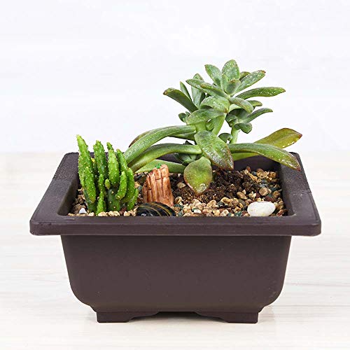 YITAQI 1PC Bonsai Training Pots - Classic Deep Humidity Trays with Built in Mesh - Plastic Square Pot & Bonsai Plants Growing Pots(Rectangle S)