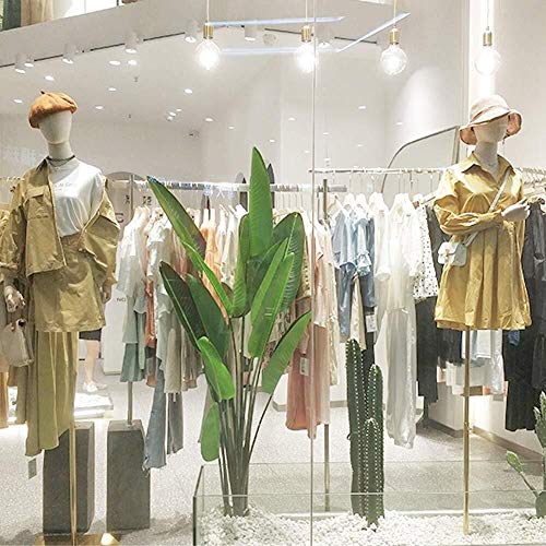 Mannequin Torso Mannequin Dress Form Torso Female Tailors Dummy Mannequin Dressmakers Dummies Fashion Students Display Bust Torso Plastic Arm Adjustable Wearable Jewelry