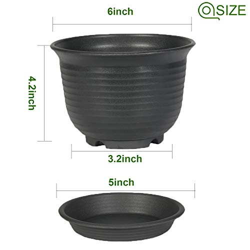 ZOUTOG ππ π·πππ π·ππππ π·πππ, 6 inches Plastic Planters with Drainage Hole and Tray, Plants Not Included