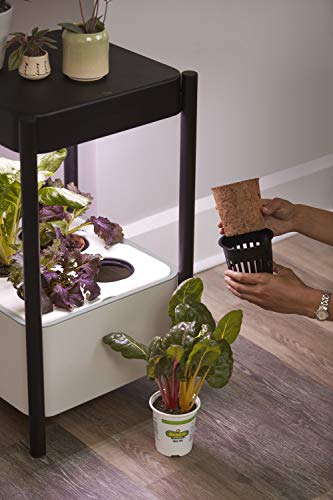 Miracle-Gro Twelve Transplanting Kit, Includes 4 Coir Liners and 4 Large Net Cups - Use Twelve Indoor Growing System - Designed for Growing Plants in Hydroponic Systems