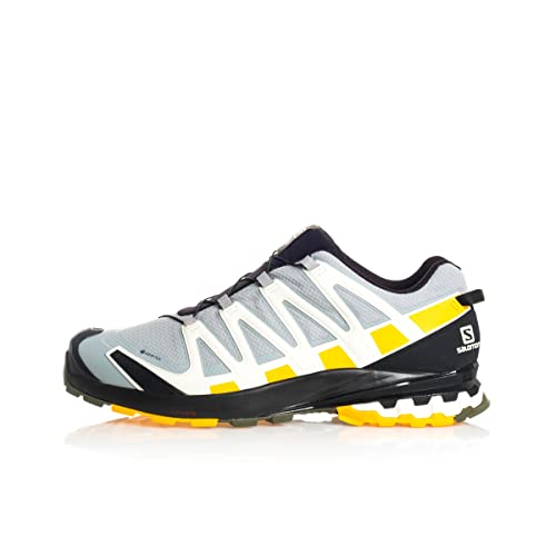 Salomon XA PRO 3D v8 Gore-TEX Trail Running Shoes for Men, Quarry/Saffron/Olive Night, 10.5
