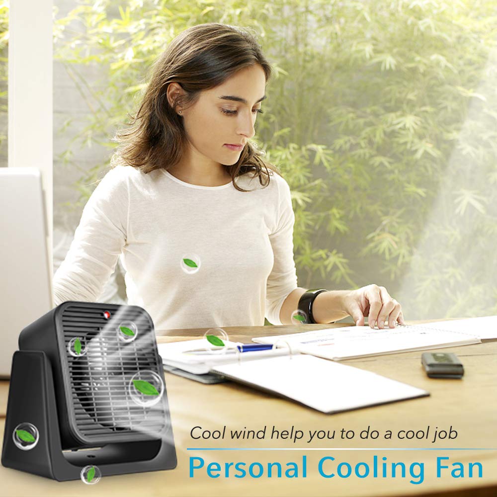 TRUSTECH 2 in 1 Cooler & Heater - Desk Electric Small Cooling and Heating Fan Combo W/Tip Over & Overheat Protection, Desktop for Indoor Use Home Room Office Bedroom Room Personal