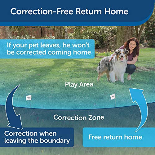 PETSAFE Stay and Play Wireless Dog Fence Kit