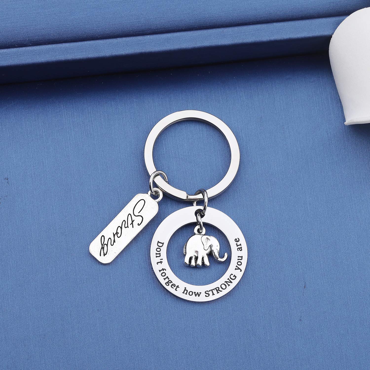 MYOSPARK Elephant Inspirational Keychain Gift For Elephant Lovers (STRONG Elephant Keychain-circle)