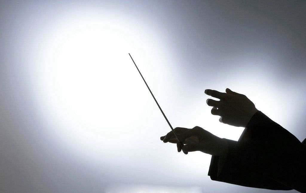MOREYES Music Baton Orchestra Baton Band Conducting Baton with Tube Sleeve (Rosewood Handle)