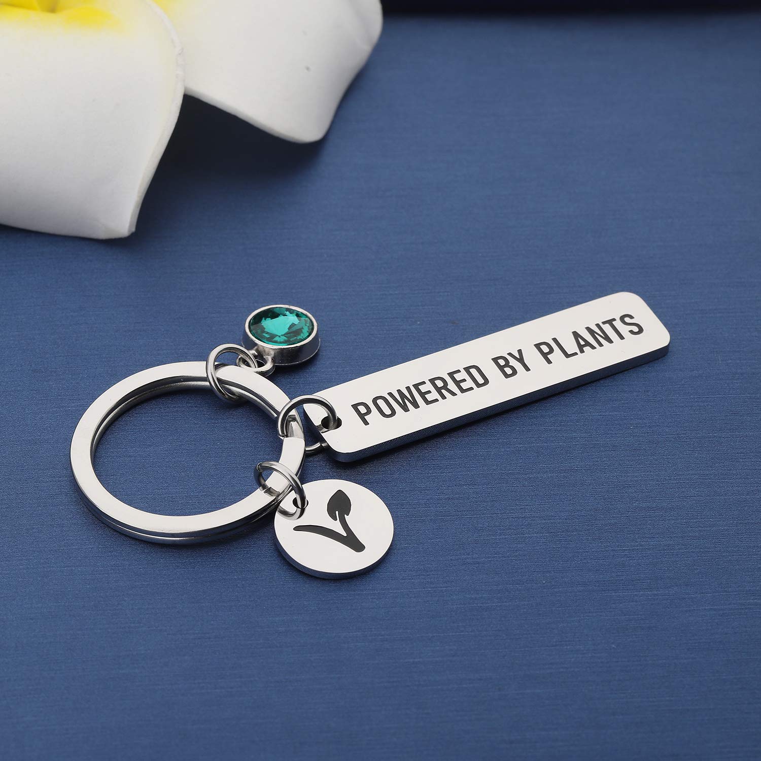 MYOSPARK Vegetarian Gift Powered By Plants Vegan Symbol Keychain Vegetarian Jewelry Animal Rights Gift For Animal Lover (Powered By Plants Keychain)