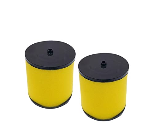 MOWFILL 2 Pack 17254-HM8-000 Air Filter Cleaner Replace Honda 17254-HM8-000 Fits Honda TRX250 TRX250TE TRX250TM 2002-2017 Sportrax TRX250EX TRX250X RECON 250 ATV Air Filter