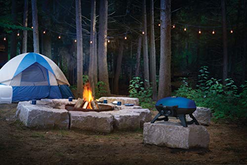 Napoleon TravelQ 285 Portable Gas BBQ Grill, Propane, Blue Lid - TQ285-BL-1 β Two Burners, Cast Iron Cooking Grids, Ideal for Camping & Tailgating
