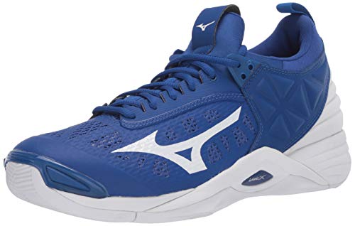 Mizuno mens Wave Momentum Volleyball Shoe, True Blue-white, 8.5 US