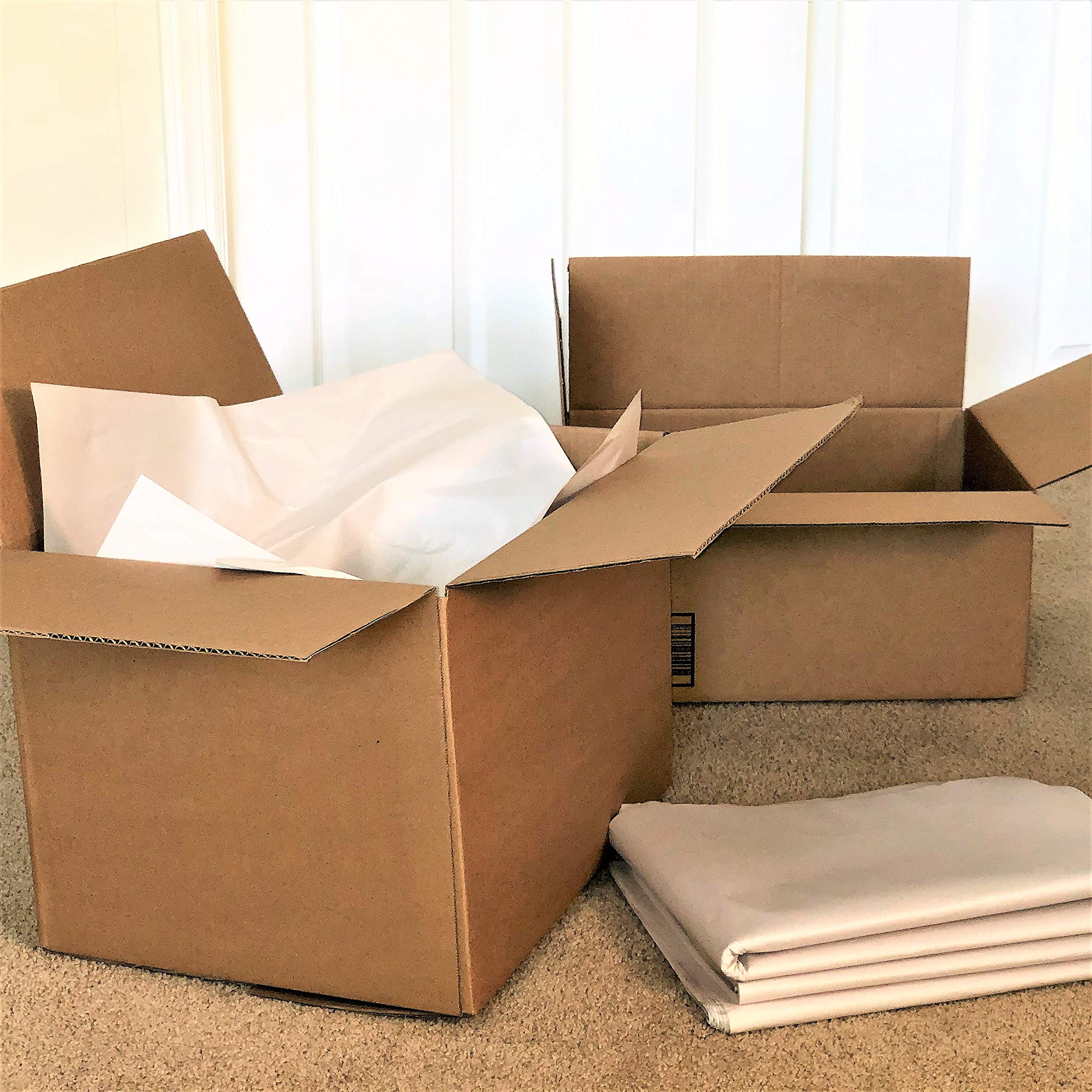 Packaging Paper (~ 10LB Bulk Pack) Sheet Size ~ 27" x 17" Unprinted Clean Newsprint Paper Sheets Ideal for Moving, Shipping, Box Filler, Wrapping and Protecting Fragile Items - Bulk Pack - Made in USA