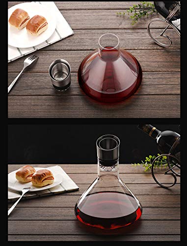 Smaier Wine Decanter Built-in Aerator Pourer(750ml), Wine Carafe Red Wine Decanter,100% Lead-free Crystal Glass, Wine Hand-held Aerator, Wine Gift, Wine Accessories