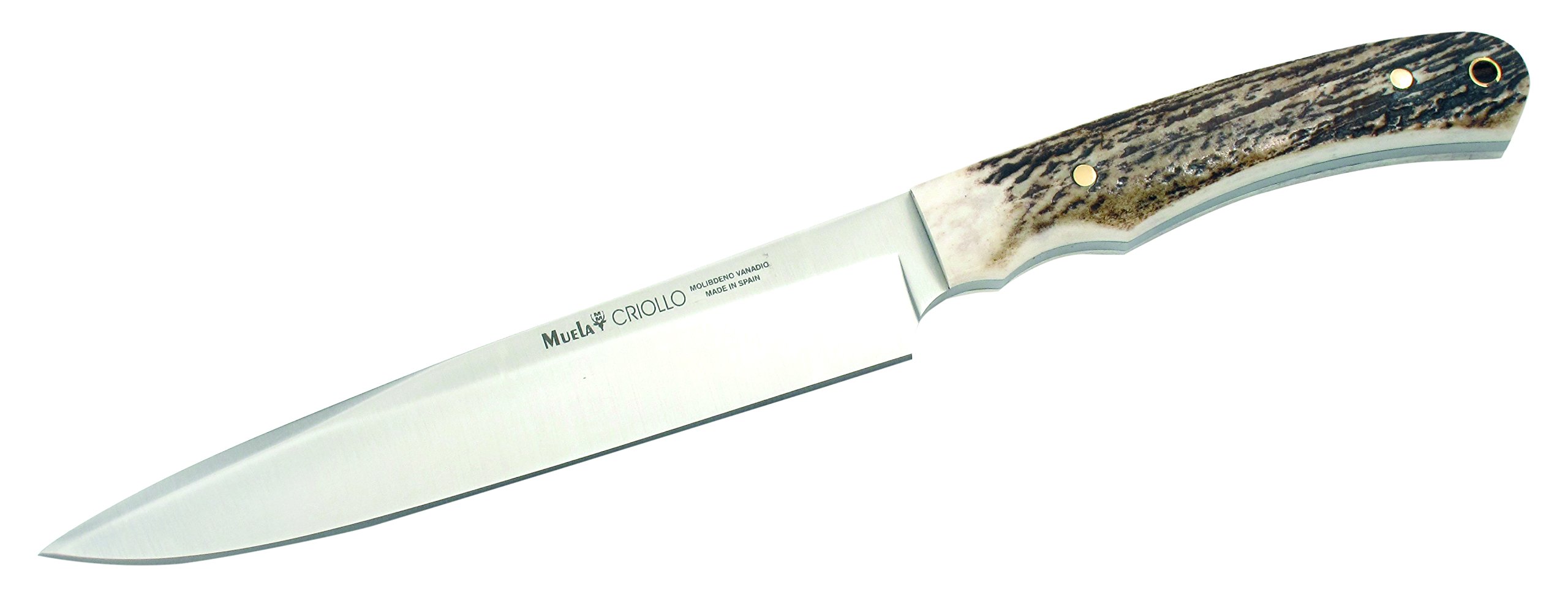 MUELA CRIOLLO-17A Genuine Red Stag Antler Handle Hunting Knife with Leather Sheath