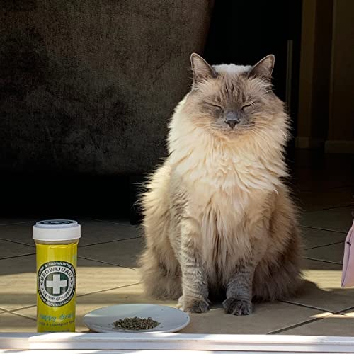 Meowijuana | Radi-Claw Bundle | Jump 'n' Jamb Monkey Door Hanger Toy and Happy Grass Catnip Blend | Promotes Play and Cat Health | Includes Organic Catnip