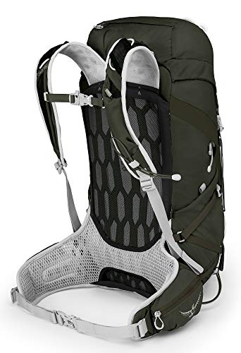 Osprey Talon 33 Men's Hiking Backpack, Yerba Greeb, medium/large