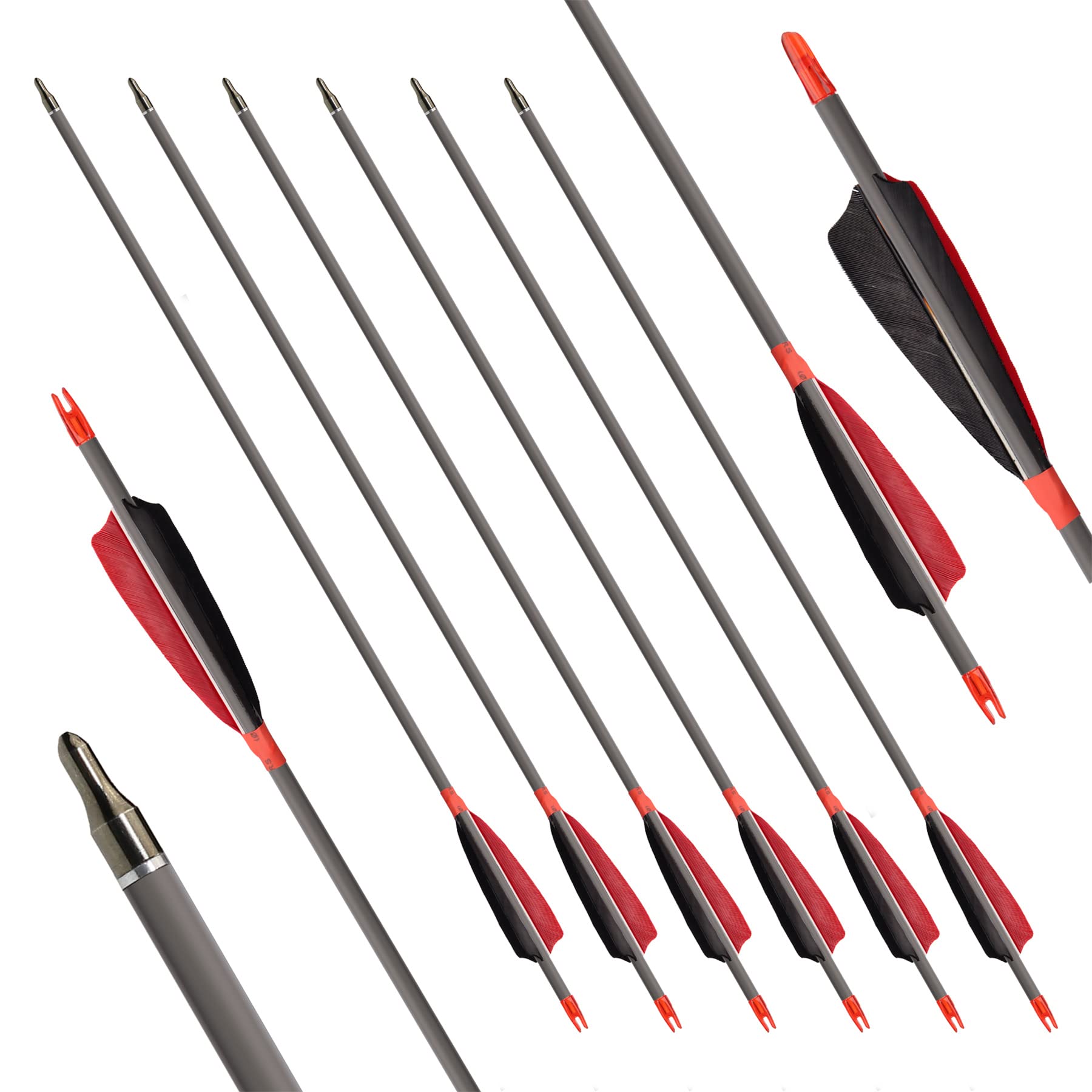 MS Jumpper Archery Carbon Arrows, High Percentage Carbon-Fiber Arrow Spine 400 with 4" Real Feathers 100 Grain Points for Hunting/Targeting Compound/Recurve/Long Bow 6Pack (30inch)