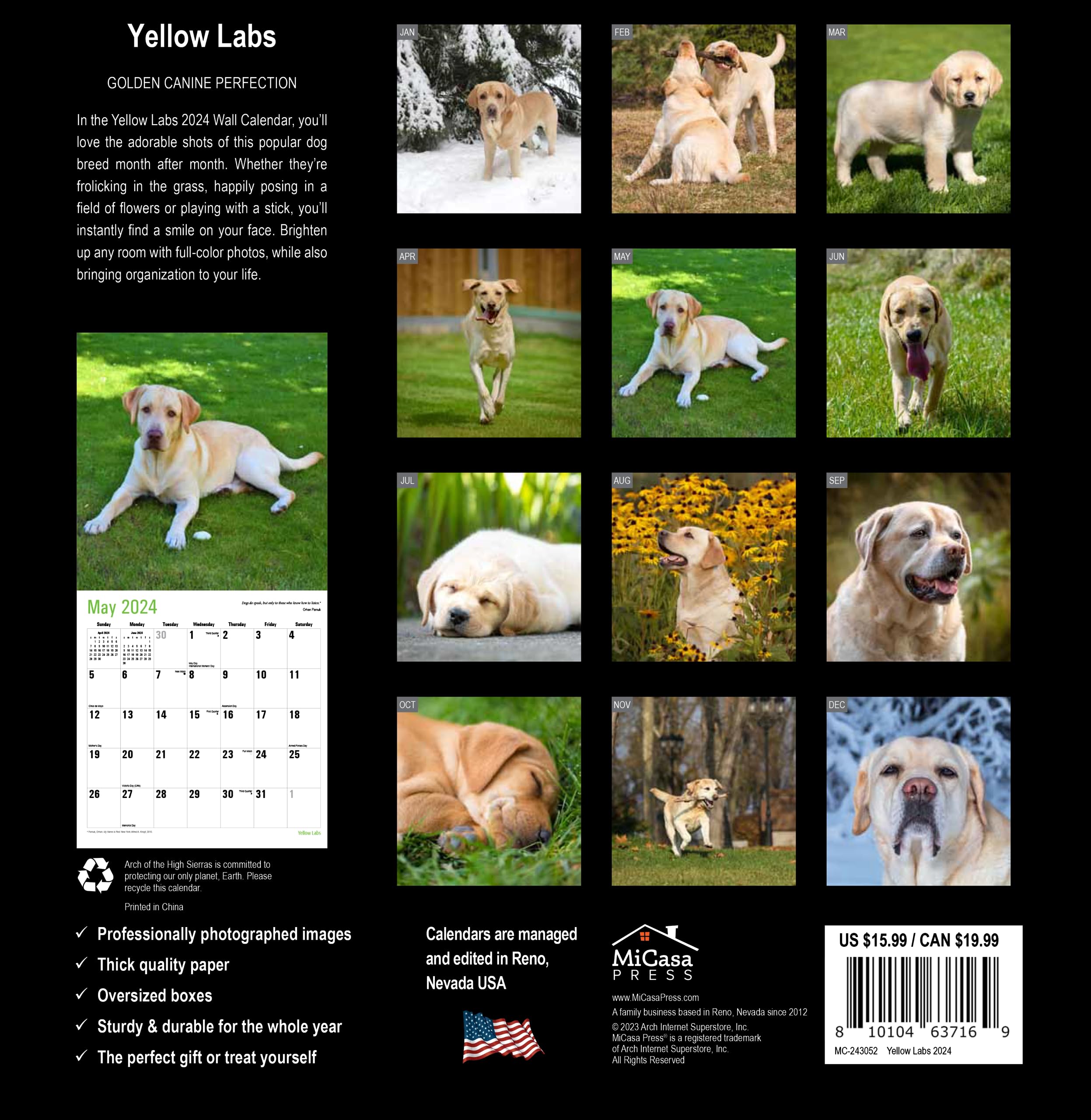 MICASA Yellow Labs 2024 Hangable Monthly Wall Calendar | 12" x 24" Open | Thick & Sturdy Paper | Giftable | Cute Dog | Golden Canine Perfection