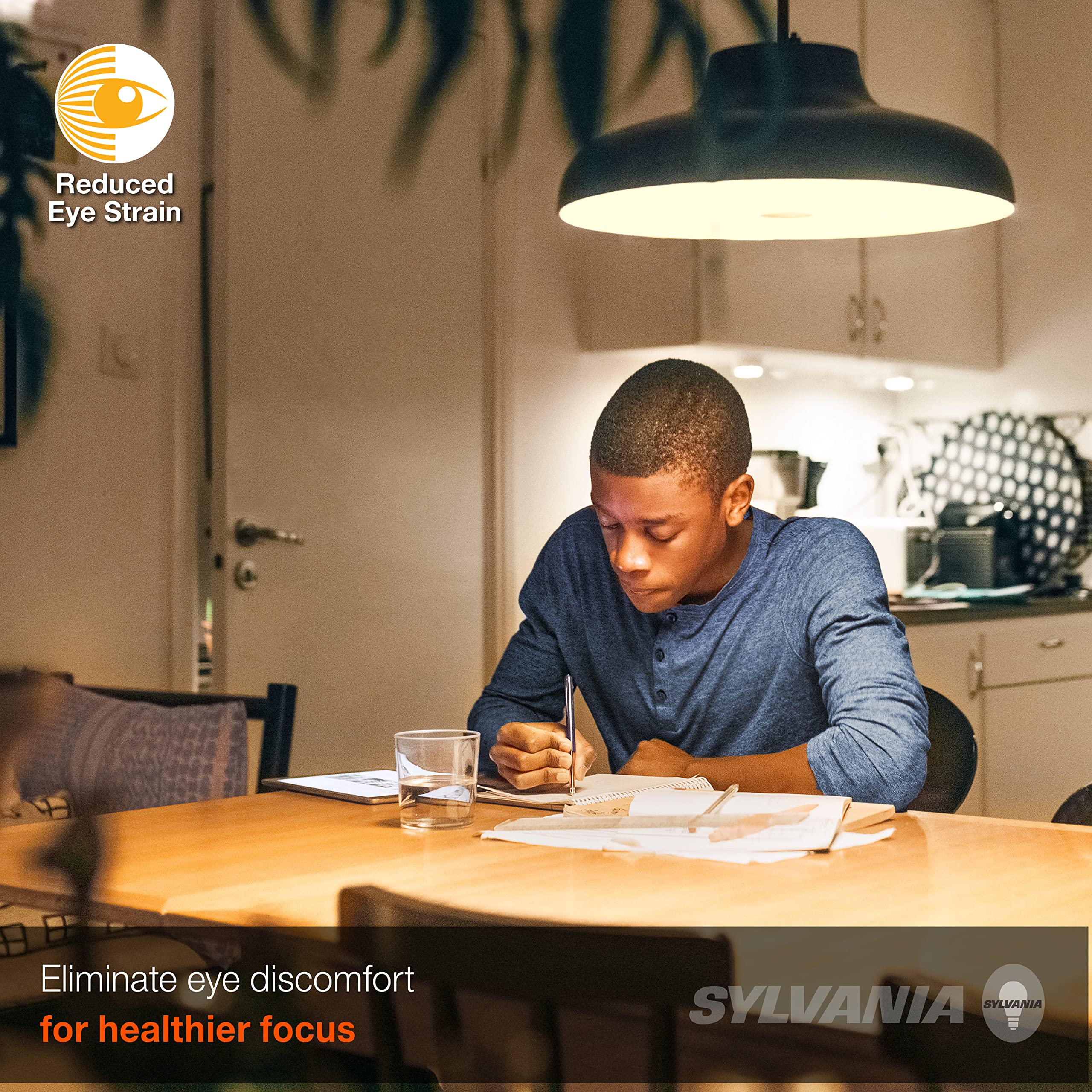 Sylvania Reduced Eye Strain A21 LED Light Bulb, 100W = 13W, 13 Year, Dimmable, Frosted, 2700K, Soft White - 4 Pack (40657)