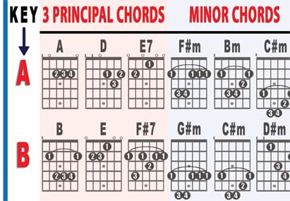Mini Guitar Chord Chart Poster - Laminated Guitar Progressions Chord Poster for Beginners and Musicians - Guitar Chord Trainer - Acoustic Guitar Accessories - 8.5" x 11" - Walrus Productions