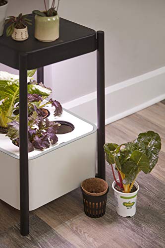 Miracle-Gro Twelve Transplanting Kit, Includes 4 Coir Liners and 4 Large Net Cups - Use Twelve Indoor Growing System - Designed for Growing Plants in Hydroponic Systems